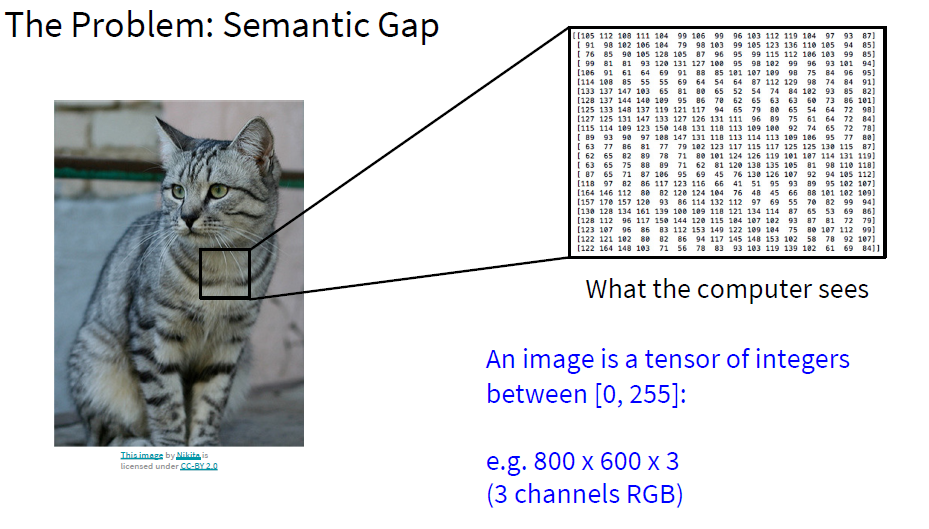 image-classification-with-linear-classifiers-autonomier-s-notes